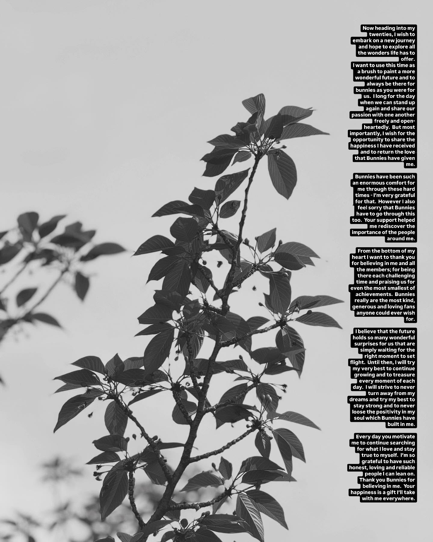 NewJeans Danielle Shares Emotional Letter amid Hiatus, Thanks Fans for ...